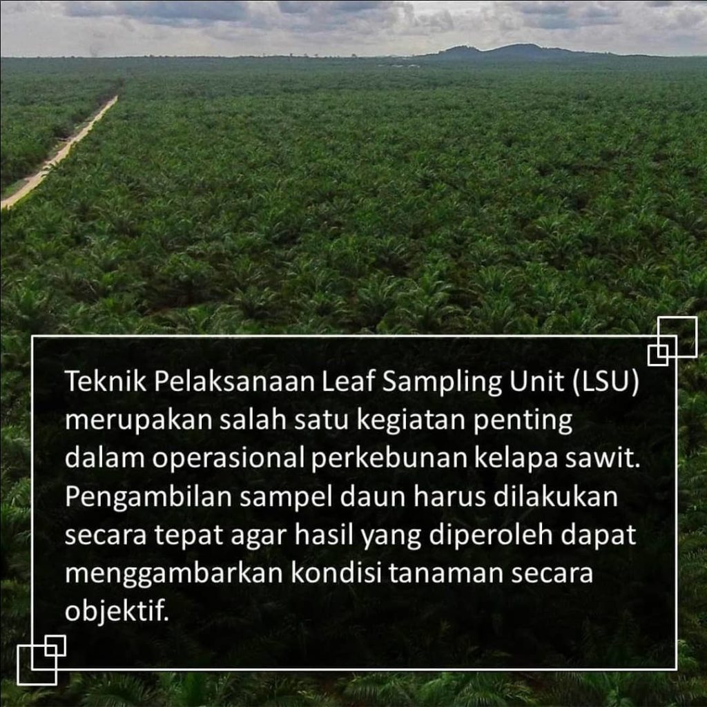 Leaf Sampling Unit (LSU) - Sulung Research Station