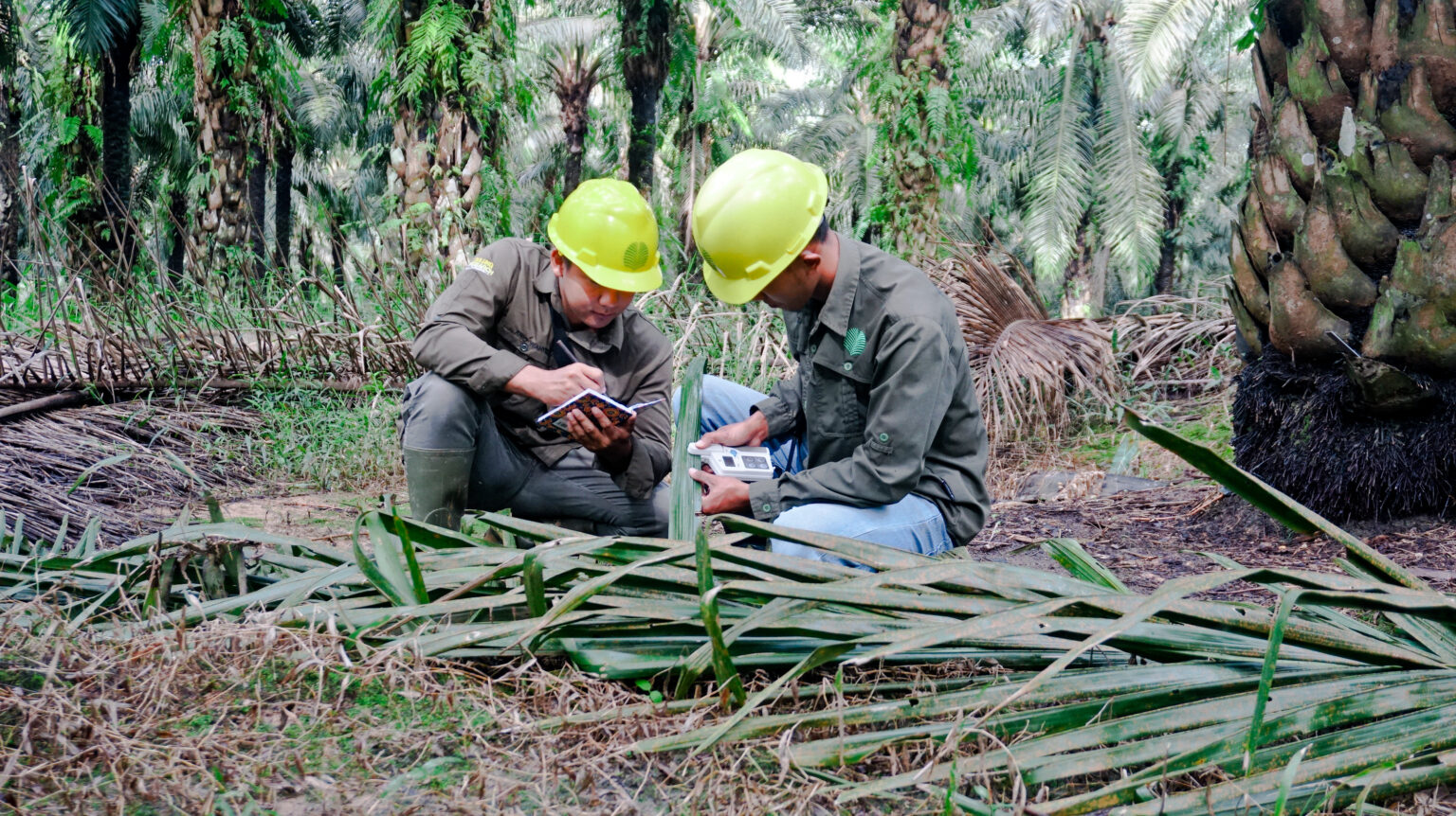 Leaf Sampling Unit (LSU) : Langkah Penting Dalam Penyusunan Rekomendasi ...