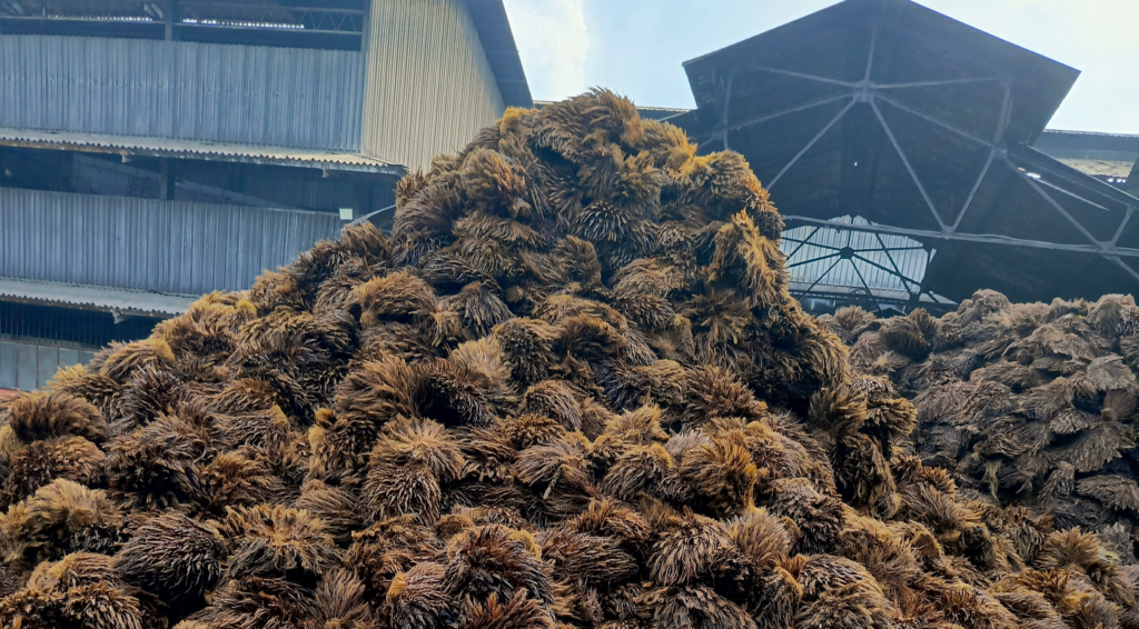 Memanfaatkan Kembali Janjang Kosong Kelapa Sawit Sebagai Sumber Bahan ...