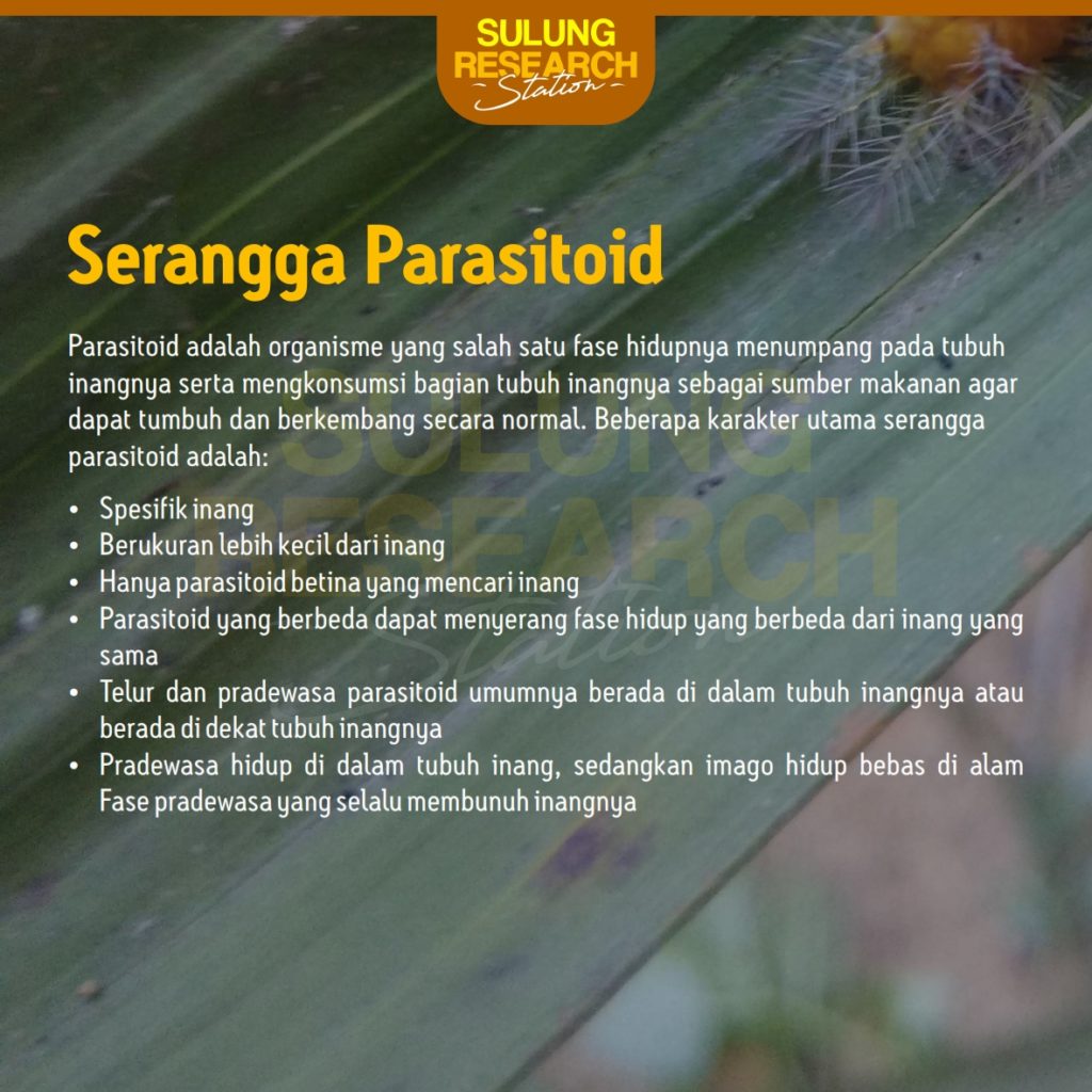 SERANGGA PARASITOID - Sulung Research Station