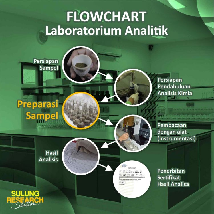 PREPARASI SAMPEL - Sulung Research Station