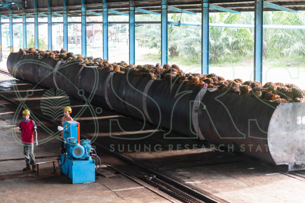 Limbah Hasil Pengolahan Kelapa Sawit Dapat Dimanfaatkan Kembali ...