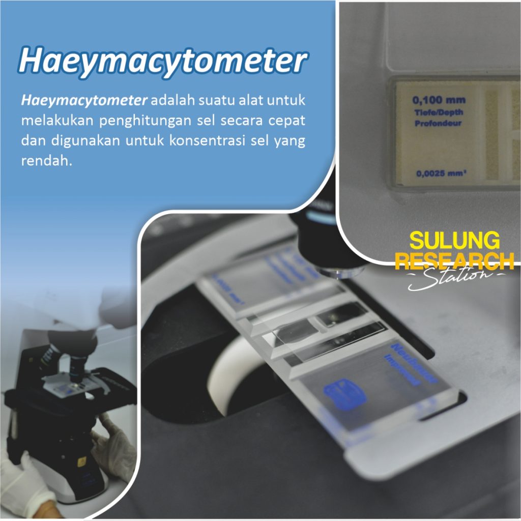 MENGENAL HAEMOCYTOMETER - Sulung Research Station