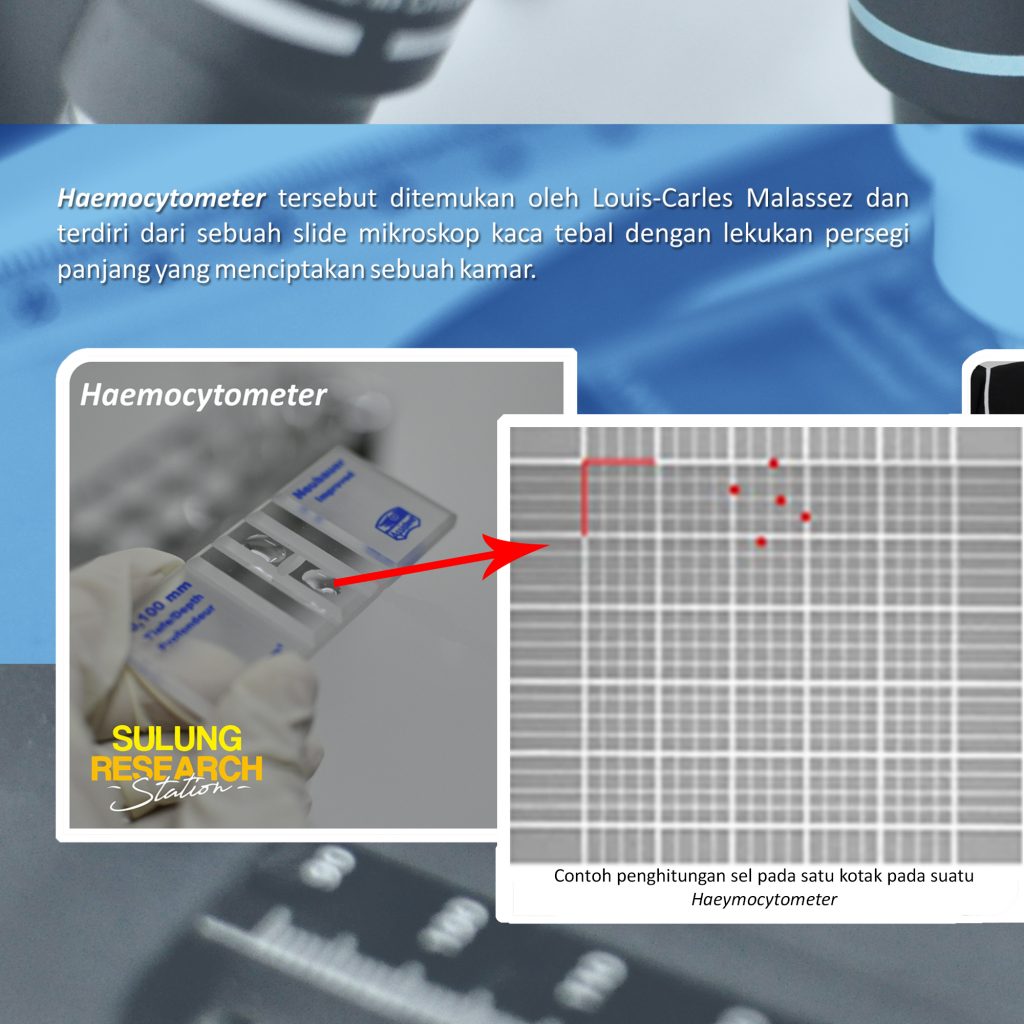 MENGENAL HAEMOCYTOMETER - Sulung Research Station