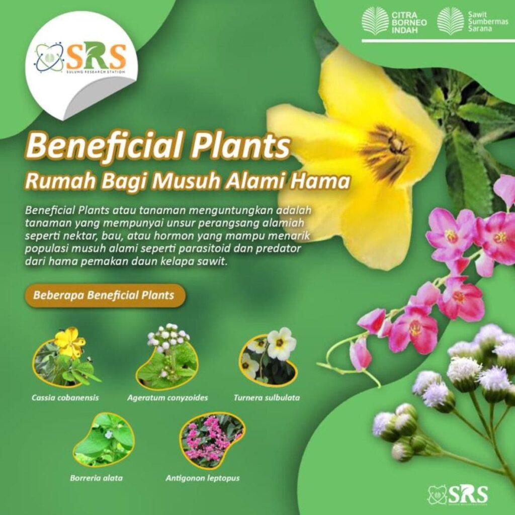 BENEFICIAL PLANTS RUMAH BAGI MUSUH ALAMI HAMA - Sulung Research Station