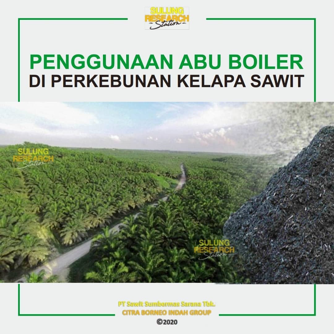 PENGGUNAAN ABU BOILER DI PERKEBUNAN KELAPA SAWIT - Sulung Research Station